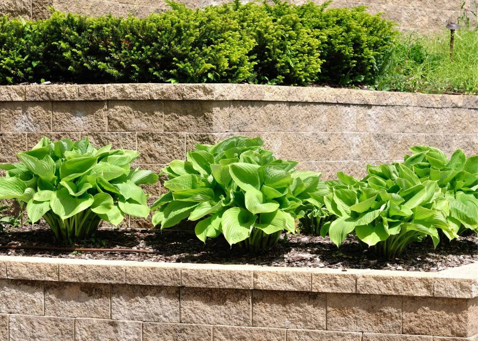 Retaining Walls For Landscaping and Drainage - Venyscapes