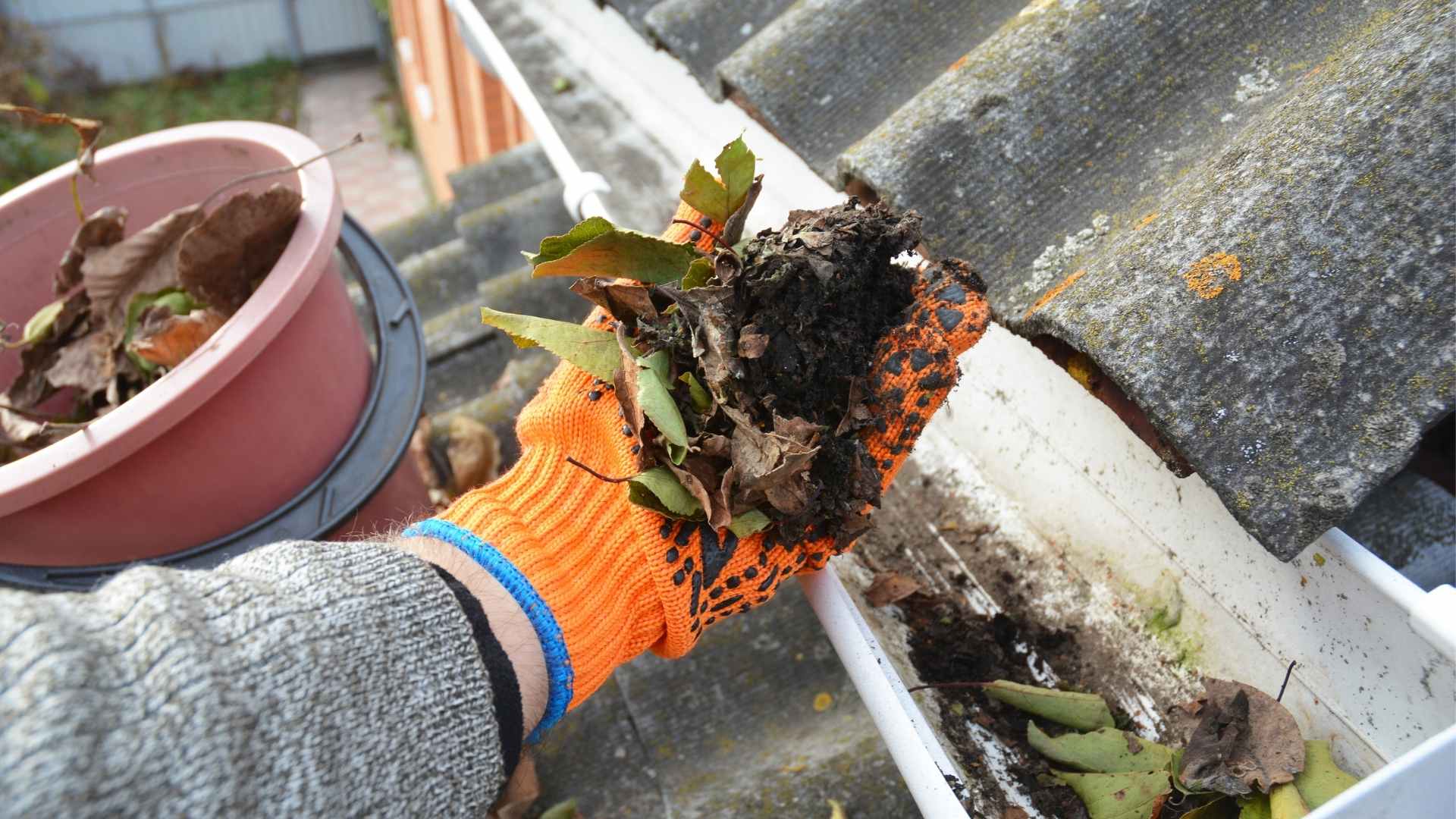 Exterior Drains Maintenance - Venyscapes
